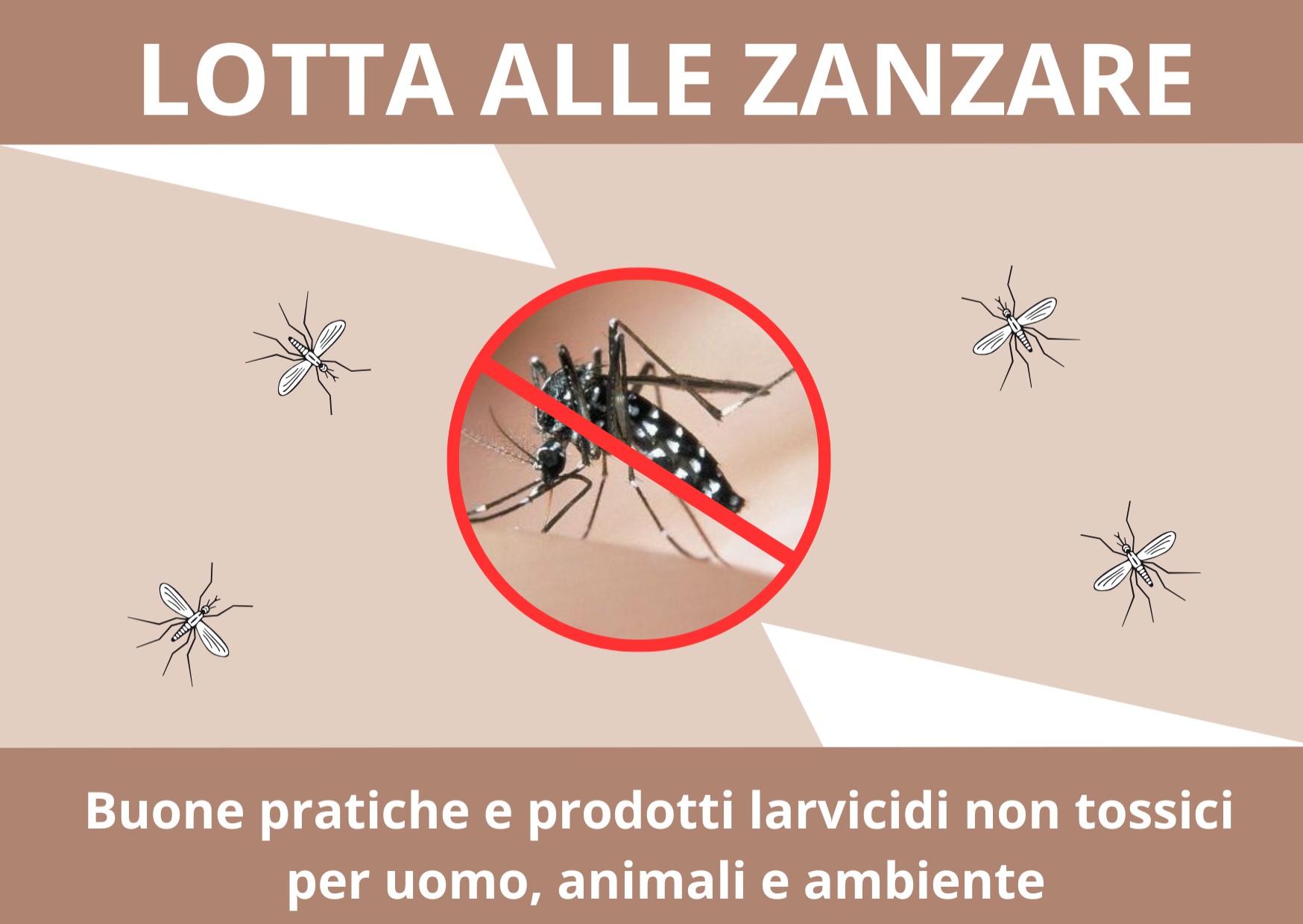 Consigli per la lotta alle zanzare | Comune di Monte San Pietro